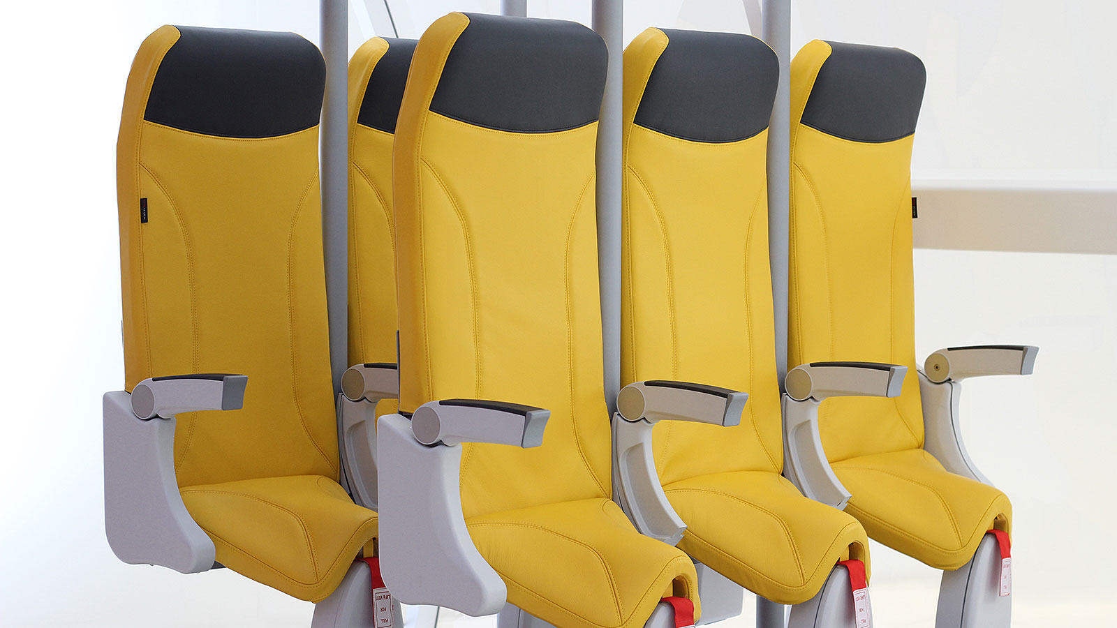Is standing the new sitting for budget flights?