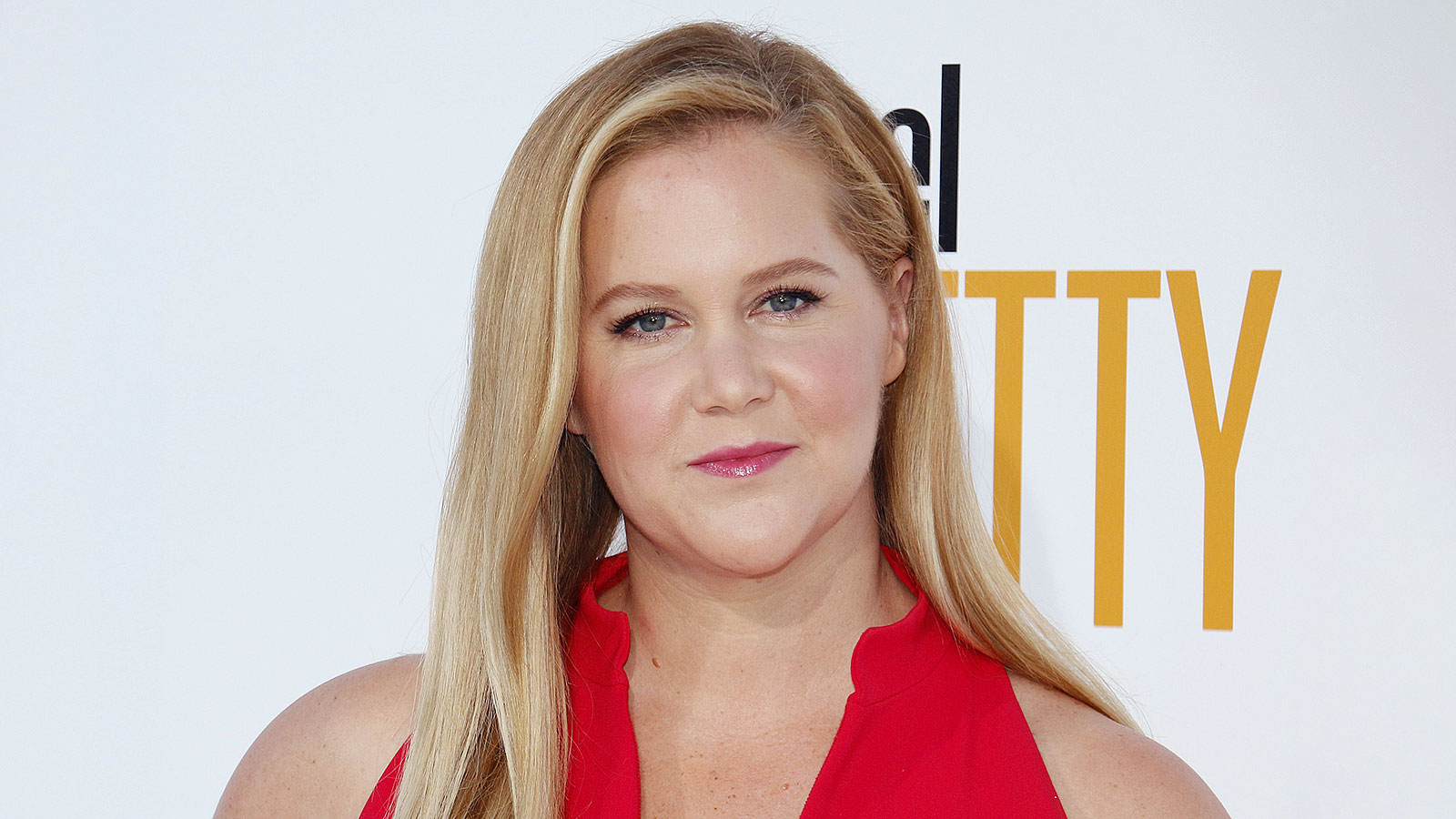 Amy Schumer was mom shamed for going back to work after 2 weeks and she ...