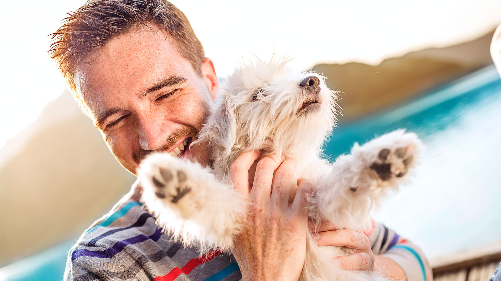 The physical and emotional benefits of owning a pet
